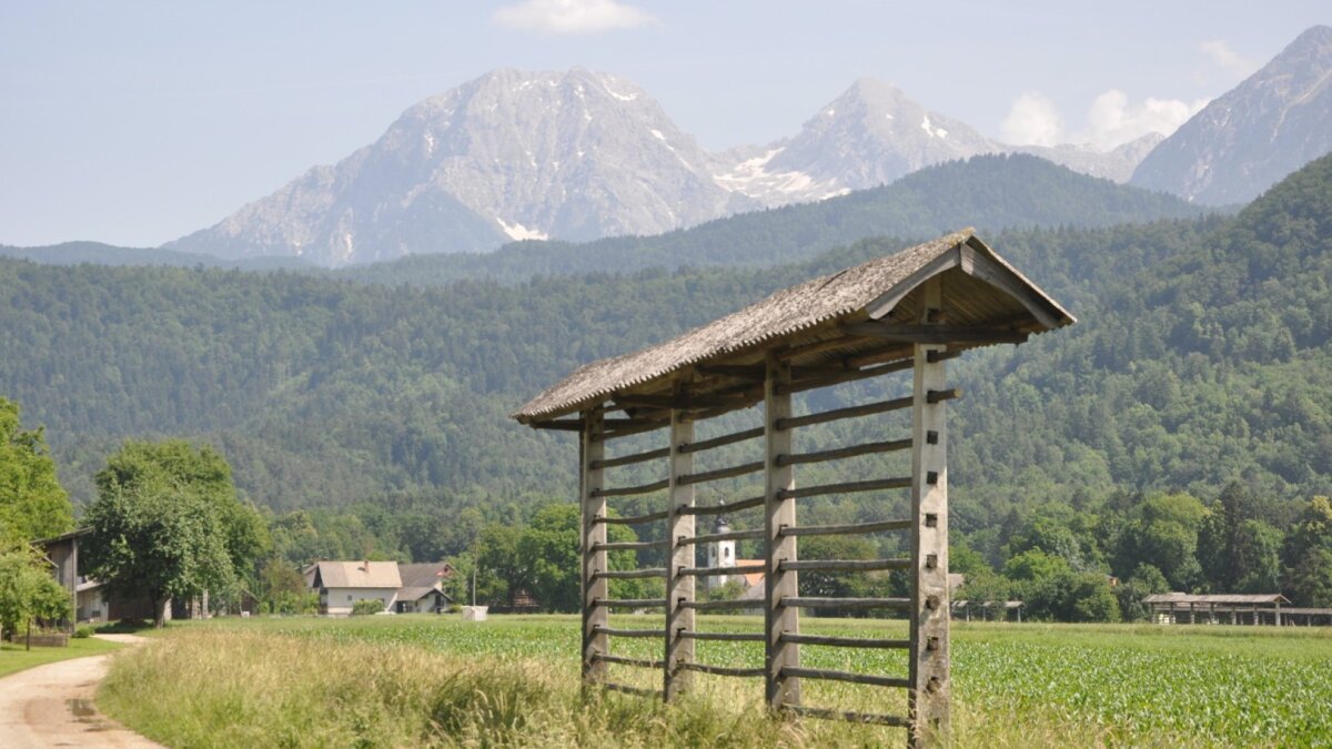 Neues Paper zur Tektonik von Slowenien